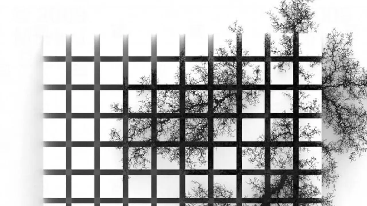 "From Code to Canvas: Generative Art with p5.js"